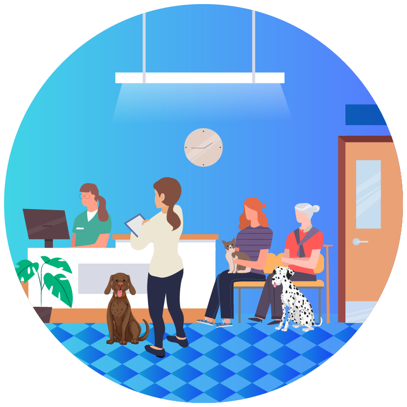 Cloud-Based Veterinary Management Software - PawsNme